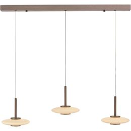 Neuhaus PURE LED Pendelleuchte &raquo;PURE Vitrum&laquo; LED-Board 1 Stk. Warmwei&szlig; Comfort Lift, dimmf&auml;hig &uuml;ber separaten Tronicdimmer braun 3, &Oslash; 22cm H: 80cm, 1 