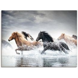 Artland Wandbild &raquo;Pferderennen V&laquo; Pferdebilder 1 Stk. tlg. als Leinwandbild, Poster in verschied. Gr&ouml;&szlig;en beige Leinwand B/H/T: 80cm x 60cm, Leinwandbild 