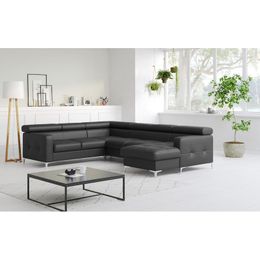 COTTA Wohnlandschaft &raquo;Sammy U-Form, B: 304 cm&laquo; Kopfteilverstellung, optional Schlaffunktion & Bettkasten schwarz NaturLEDER , die R&uuml;ckseite ist mit 