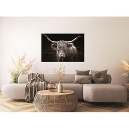 Leinwandbild &raquo;Wandbild HOCHLANDRIND 78x118 cm &ndash; Leinwandbild Keilrahmen Deko modern&laquo; Kuhbilder 1 Stk. tlg. auf Keilrahmen gespannt schwarz Canvas, MDF