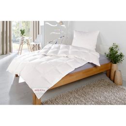 H&auml;ussling Daunenbettdecke &raquo;Swiss Royal, Bettdecken f&uuml;r Sommer und Winter, Ganzjahresdecke, Decke&laquo; normal F&uuml;llung 90Daunen10Federn 1 Stk. tlg. Bettdecke 135x200 