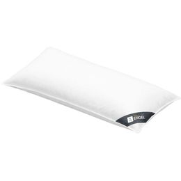 Spessarttraum Federkissen &raquo;Mein Engel&laquo; 1 Stk. tlg. Kissen 40x80cm & 80x80cm wei&szlig; Bezug: 100% Baumwolle. F&uuml;llung: 70% G&auml;nsefeder, 30% G&auml;nsedaunen B/H/L