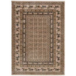 Theko Teppich &raquo;Beatrice GF-137&laquo; rechteckig 10 mm H&ouml;he Kurzflor, Orient Optik, mit Bord&uuml;re & Fransen, Wohnzimmer bunt Polyester B : 160cm 1 Stk., 10mm,
