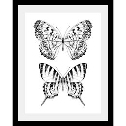 queence Bild &raquo;Schmetterlinge&laquo; Insekten Kunst Schmetterlinge Schwarz-Wei&szlig; Tiere HD Premium Poster-Druck inkl. Holzrahmen schwarz Acrylglas, 