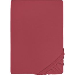 Biberna Spannbettlaken &raquo;Marc&laquo; aus Baumwolle, f&uuml;r Matratzen bis 22 cm H&ouml;he, Bettlaken, Spannbetttuch braun Jersey, Obermaterial: 100% Baumwolle B/L: 200cm, 1 