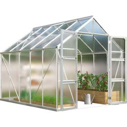 Vitavia Gew&auml;chshaus &raquo;Domus 8300&laquo; mit Doppelschwingt&uuml;ren und bodentiefer T&uuml;rschwelle, 6 mm Hohlkammer silber B/H/T: 257cm x 253,9cm x 325cm