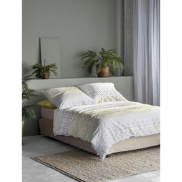 Irisette Bettw&auml;sche &raquo;Easy 8614&laquo; 2 Stk. pflegeleicht und b&uuml;gelfrei bunt Seersucker, Obermaterial: 100% Baumwolle B/L: 155cm x 220cm, 1 Stk., 1 Stk., Seersucker,