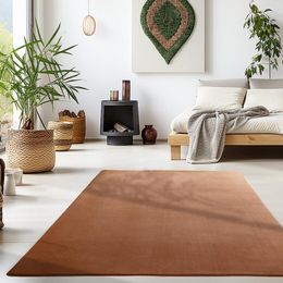 Ayyildiz Teppiche Teppich &raquo;SKY 5400, auch als L&auml;ufer und in Rund erh&auml;ltlich&laquo; rechteckig 7 mm H&ouml;he besonders weich, Softflor, waschbar, rutschfest, uni, Wohnzimmer braun