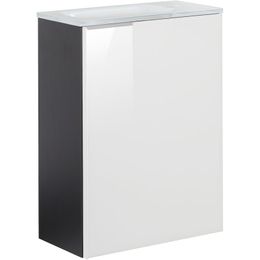 Fackelmann Waschtisch &raquo;SBC&laquo; Set, bestehend aus Becken, Beleuchtung und Unterbau, Breite ca. 45 cm schwarz-wei&szlig; Glas, Holzwerkstoff B/H/T: 45cm x 
