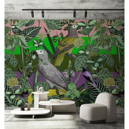 Livingwalls living walls Vliestapete &raquo;Papageien-Tapete Bunt &ndash; Exotische Mustertapete&laquo; matt glatt Vlies B/L: 2,7m x 4m, Rollen: 1