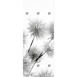 queence Garderobenleiste &raquo;Pusteblumen&laquo; Wandgarderobe, Garderobe, Schwarz/Wei&szlig;, Wand grau Acrylglas, Edelstahl B/H/T: 50cm x 120cm x 10cm