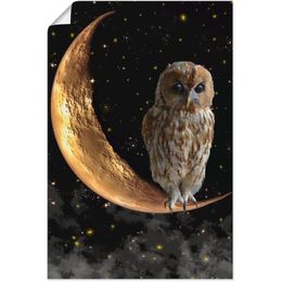 Artland Wandbild &raquo;Nachteule&laquo; V&ouml;gel 1 Stk. tlg. als Alubild, Leinwandbild, Poster in verschied. Gr&ouml;&szlig;en beige B/H/T: 60cm x 90cm, Poster V&ouml;gel, 1 Stk.