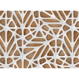 Livingwalls living walls Fototapete &raquo;Designwalls Organic Surface 1&laquo; glatt Vlies, Wand, Schr&auml;ge, Decke braun Vlies B/L: 3,5m x 2,55m