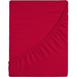CASATEX Spannbettlaken &raquo;Jersey-Elasthan&laquo; mit Elasthan rot Jersey, Obermaterial: 96% Baumwolle, 4% Elasthan 1 Stk., Jersey, 140-160x200-220 25cm