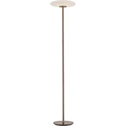 Neuhaus PURE LED Stehlampe &raquo;PURE Vitrum&laquo; LED-Board 1 Stk. Warmwei&szlig; Dimmbar &uuml;ber Touchdimmer braun 1, &Oslash; 32cm H: 180cm, 1 Stk.