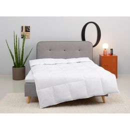 OTTO home Daunenbettdecke &raquo;Covino, Bettdecke 135x200 cm, 155x220 cm&laquo; leicht F&uuml;llung 60% Daunen & 40% Federn 1 Stk. tlg. Bettdecke Sommer, Winter, Made
