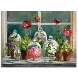 Artland Leinwandbild &raquo;Lila Mohnsammlung am Fenster&laquo; Arrangements 1 Stk. tlg. auf Holzrahmen gespannt gr&uuml;n Leinwand B/H/T: 80cm x 60cm, Leinwandbild 