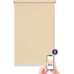 SUNLINES Elektrisches Rollo &raquo;New York&laquo; Lichtschutz Sichtschutz mit Bohren freih&auml;ngend appgesteuert via Bluetooth, mit Motor und Akku, wei&szlig;er Fallstab 