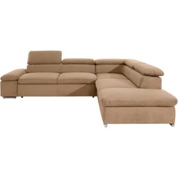 Sit & More sit&more Ecksofa &raquo;Alcatraz L-Form&laquo; wahlweise mit Schlaffunktion braun Struktur fein (97% Polyester, 3% Polyamid);Luxus-Microfaser ALTARA NUBUCK (95% 