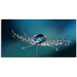 Artland Leinwandbild &raquo;Pusteblume Tautropfen blau&laquo; Blumenbilder 1 Stk. tlg. auf Holzrahmen gespannt blau B/H/T: 100cm x 50cm, Leinwandbild Blumenbilder 