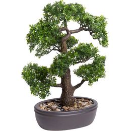 Kunstbonsai &raquo;Ficus Bonsai&laquo; gr&uuml;n Kunststoff &Oslash;/H: 35cm x 45cm, 1 Stk.