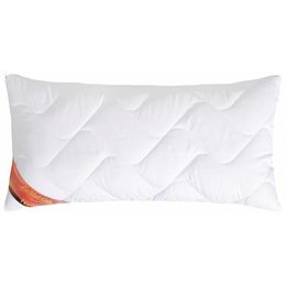 Schlafgut Microfaserkissen &raquo;Proneem m. MF-Bezug&laquo; 1 Stk. tlg. Wirksam gegen Milben (von Hohenstein getestet) wei&szlig; Bezug: 100% Polyester B/H/L: 40cm x 80cm, 