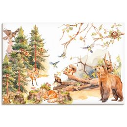 Artland Wandbild &raquo;Die Tiere des Waldes&laquo; 1 Stk. tlg. als Alubild, Leinwandbild, Poster, Wandaufkleber in verschied. Gr&ouml;&szlig;en Leinwand B/H/T: 90cm x 60cm, 