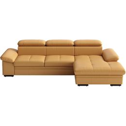 Sit & More sit&more Ecksofa &raquo;Viola, Leder, L-Form, B: 260 cm, mit Armteil- und Kopfteilvertsellung&laquo; optional mit Schlaffunktion beige B/H/T: 260cm x 73cm x 174cm