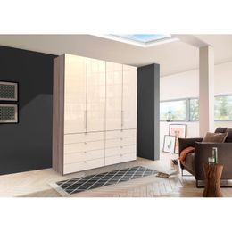 Wiemann Faltt&uuml;renschrank &raquo;Loft, Kleiderschrank, Schrank, W&auml;scheschrank, mit Glasfront&laquo; 3 Breiten, 2 H&ouml;hen 216/236 cm ausw&auml;hlbar, MADE IN GERMANY, inkl