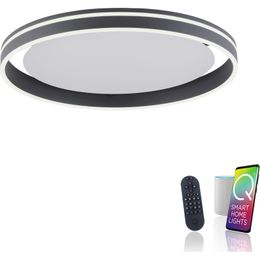 Neuhaus Q SMART HOME LIGHTS LED Deckenleuchte &raquo;Q-VITO&laquo; LED-Board 1 Stk. warmwei&szlig; - kaltwei&szlig; schwarz 1, &Oslash; 59cm, 1 Stk.