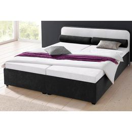 Maintal Polsterbett wahlweise mit Bettkasten schwarz-wei&szlig; Liegefl&auml;che L&auml;nge B: 200cm x 160cm, Microvelours, H&ouml;he Liegefl&auml;che: 42,00, Kaltschaummatratze 