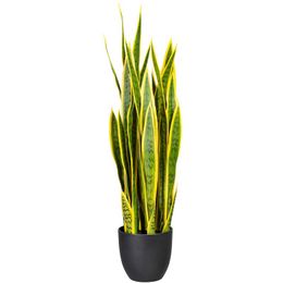 Creativ green K&uuml;nstliche Zimmerpflanze &raquo;Sanseveria&laquo; gr&uuml;n Kunststoff B/H/L: 16,5cm x 90cm, 1 Stk.