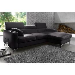 COTTA Ecksofa &raquo;Sammy L-Form&laquo; mit Kopfteilverstellung, wahlweise mit Schlaffunktion schwarz Microfaser PRIMABELLE (100% Polyester);NaturLEDER in Sitz 