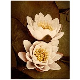 Artland Leinwandbild &raquo;Seerosenbl&auml;tter Duo&laquo; Blumen 1 Stk. tlg. auf Holzrahmen gespannt braun Leinwand B/H/T: 45cm x 60cm, Leinwandbild Blumen Hochformat, 1 Stk
