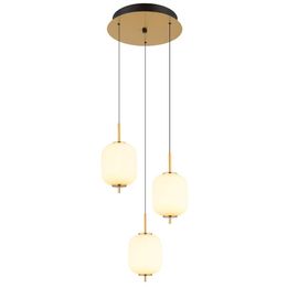 Globo LIGHTING LED Pendelleuchte &raquo;EWALD&laquo; LED-Modul 1 Stk. Warmwei&szlig; H&auml;ngelampe/H&auml;ngeleuchte/Glas opal/h&ouml;henverstellbar/messingfarben gold 1 Stk.