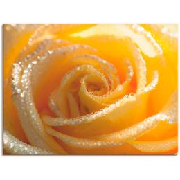 Artland Leinwandbild &raquo;Gelbe Rose Makro&laquo; Blumen 1 Stk. tlg. auf Holzrahmen gespannt gelb Leinwand B/H/T: 60cm x 45cm, Leinwandbild Blumen Querformat, 1 Stk.