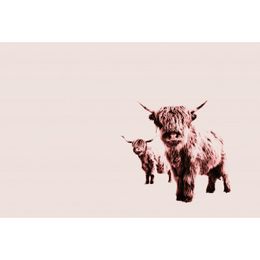 Livingwalls living walls Fototapete &raquo;ARTist Highland Cows&laquo; Vlies, Wand, Schr&auml;ge beige Vlies B/L: 4m x 2,7m