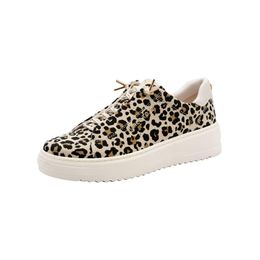 Marco Tozzi Sneaker in LEO CREAM | Gr.: 36