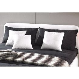 Westfalia Schlafkomfort Dekokissen (5 Stck.) schwarz Polyester B/L: 40cm x 40cm, 5 Stk.