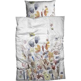CASATEX Bettw&auml;sche &raquo;Calvados&laquo; 2 Stk. detailreich, frische und fr&ouml;hliche Farben, sanfter Look wei&szlig; Satin, Obermaterial: 100% Baumwolle B/L: 135cm x 