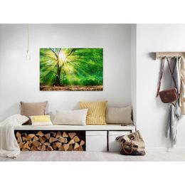 A.S. Cr&eacute;ation Leinwandbild &raquo;Forest Light&laquo; Kunst Wald 1 Stk. tlg. Sonnenlicht Baumkrone Keilrahmen Natur Leinwand-Bild Wohnzimmer modern bunt Holz, Stahl B/H/T: 90cm