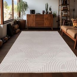 Ayyildiz Teppiche Teppich &raquo;SAHARA 1113 , auch als L&auml;ufer&laquo; rechteckig 12 mm H&ouml;he Pflegeleicht / Strapazierf&auml;hig / Trend Colors/ Wohnzimmer beige Polypropylen B : 120cm 1