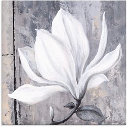 Artland Glasbild &raquo;Klassische Magnolie&laquo; Blumen 1 Stk. tlg. in verschiedenen Gr&ouml;&szlig;en grau B/H/T: 50cm x 50cm, Glasbild Blumen, 1 Stk.