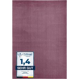 ANDIAMO Teppich &raquo;Arezzo&laquo; rechteckig 16 mm H&ouml;he Uni Farben, weicher Flor, waschbar, ideal im Wohnzimmer & Schlafzimmer lila Polyester B : 80cm 1 Stk., 16mm, L: