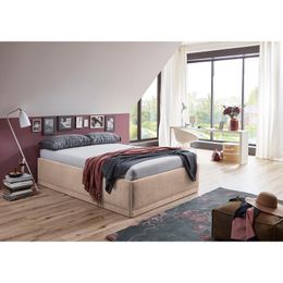 Westfalia Schlafkomfort Polsterbett &raquo;Texel&laquo; Standardh&ouml;he mit Zierkissen, Bettkasten bei Ausf&uuml;hrung mit Matratze beige Bezug Bett: Veloursstoff 100% Polyester oder Microfaser 