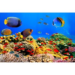 papermoon Fototapete &raquo;Coral Colony Red Sea&laquo; glatt bunt Vlies B/L: 3,5m x 2,6m, Bahnen: 7 Stk.