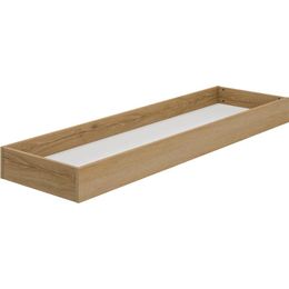 Bettschubkasten &raquo;OTELLO&laquo; Bettschublade zur Aufbewahrung beige Holzwerkstoff B/H/T: 160cm x 15cm x 47cm