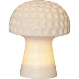 Parforce Traditional Hunting LED Solarleuchte &raquo;Solar Dekoration Sandy&laquo; LED-Board 1 Stk. Warmwei&szlig; D&auml;mmerungssensor, Pilzform, Solarpanel separat beige 1, &Oslash; 19cm H: 24cm, 1 Stk.