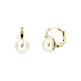 Firetti Damen Paar Ohrh&auml;nger &raquo;Schmuck Geschenk Gold 333 Ohrschmuck Patentbrisur Perle&laquo; mit S&uuml;&szlig;wasserzuchtperle gold Gelbgold 333 Perlen