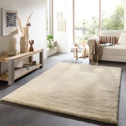 Theko Wollteppich &raquo;Hadj Uni&laquo; rechteckig 25 mm H&ouml;he echter Berber Teppich, reine Wolle, meliert, handgekn&uuml;pft beige Wolle B : 170cm 1 Stk., 25mm, L: 